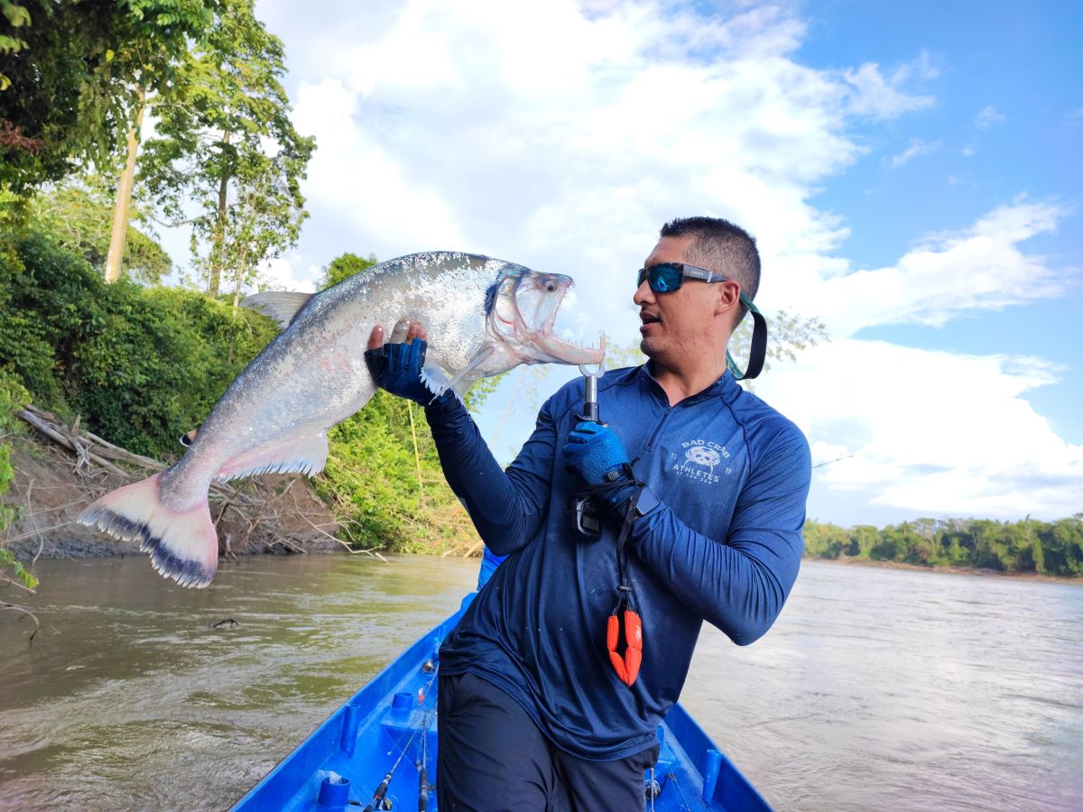 Payaras en el Rio Guayabero – A Fishing Day